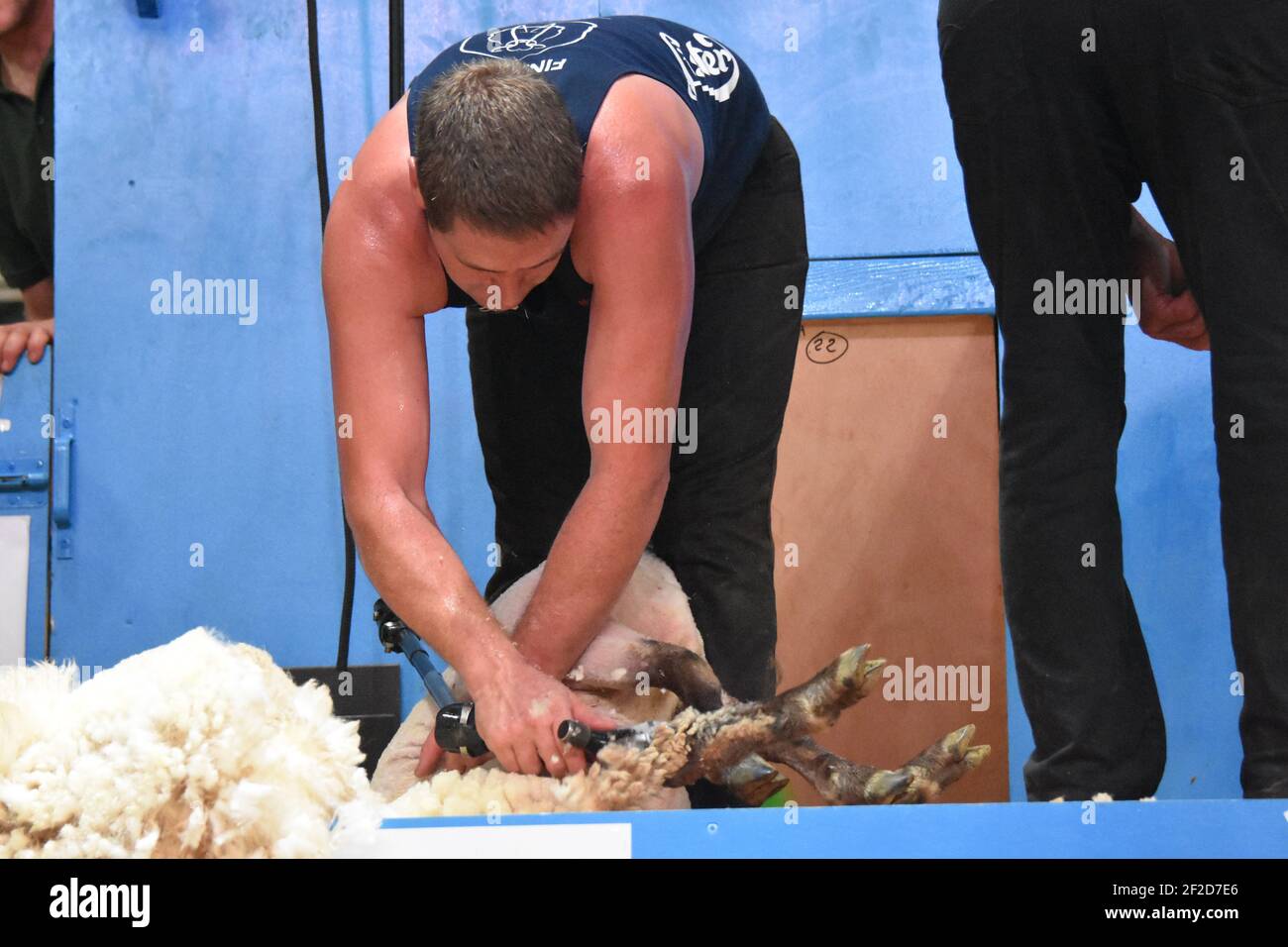 Gavin lamb hi-res stock photography and images - Alamy