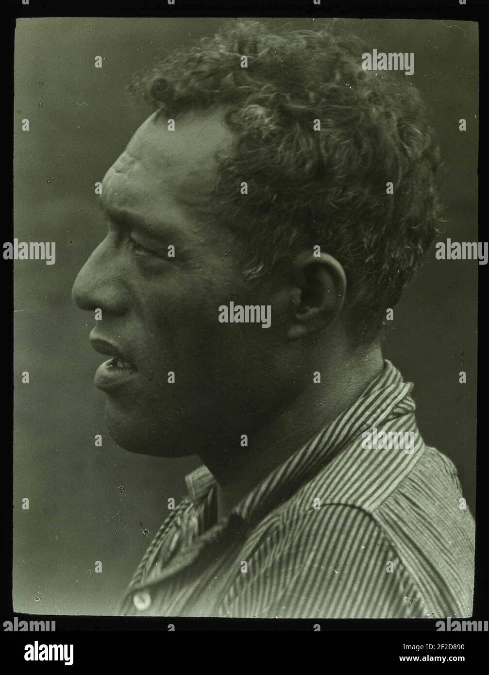 Portrait of a Polynesian man in profile, wearing a striped shirt ...