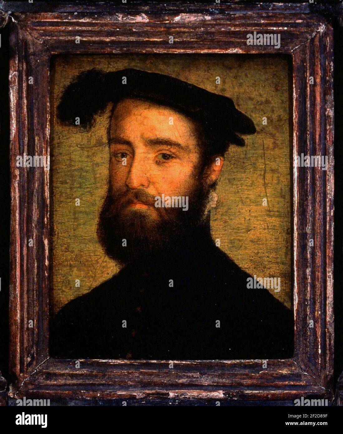 1550 circa hi-res stock photography and images - Alamy