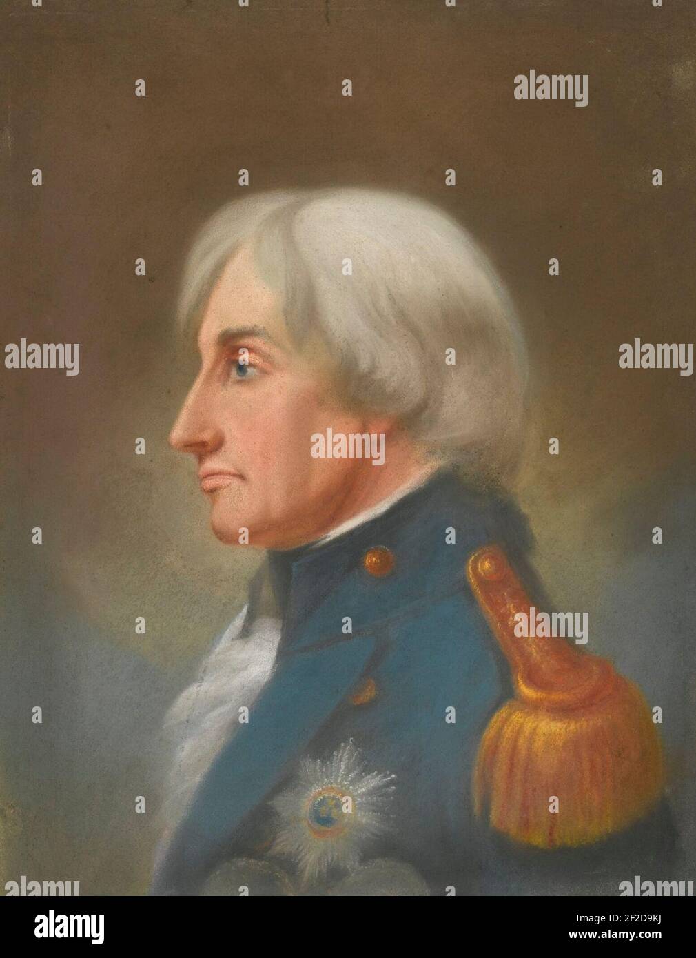 Portrait of Admiral Lord Nelson, by John Whichelo 276L13404 6YWV5 Stock ...