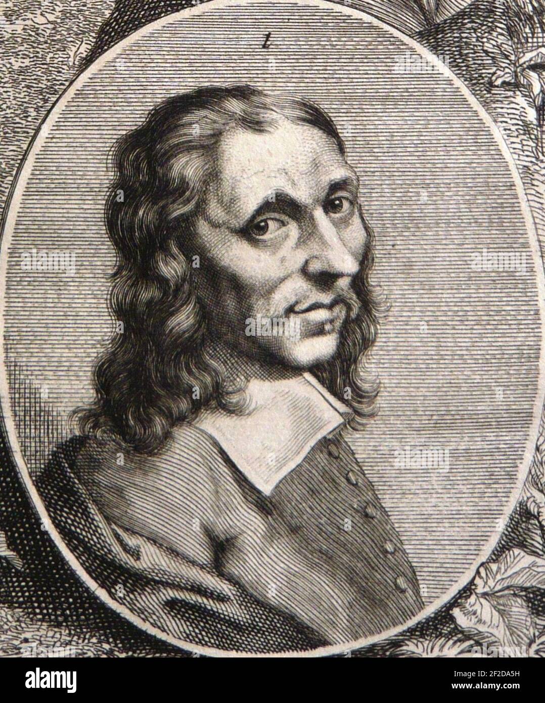 Everdingen portrait hi-res stock photography and images - Alamy