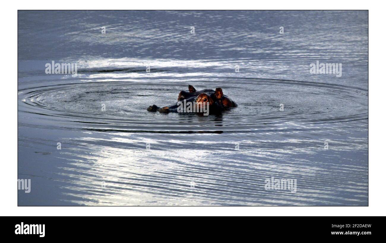 Independent Christmas Appeal......Integrated Rural Development and ...