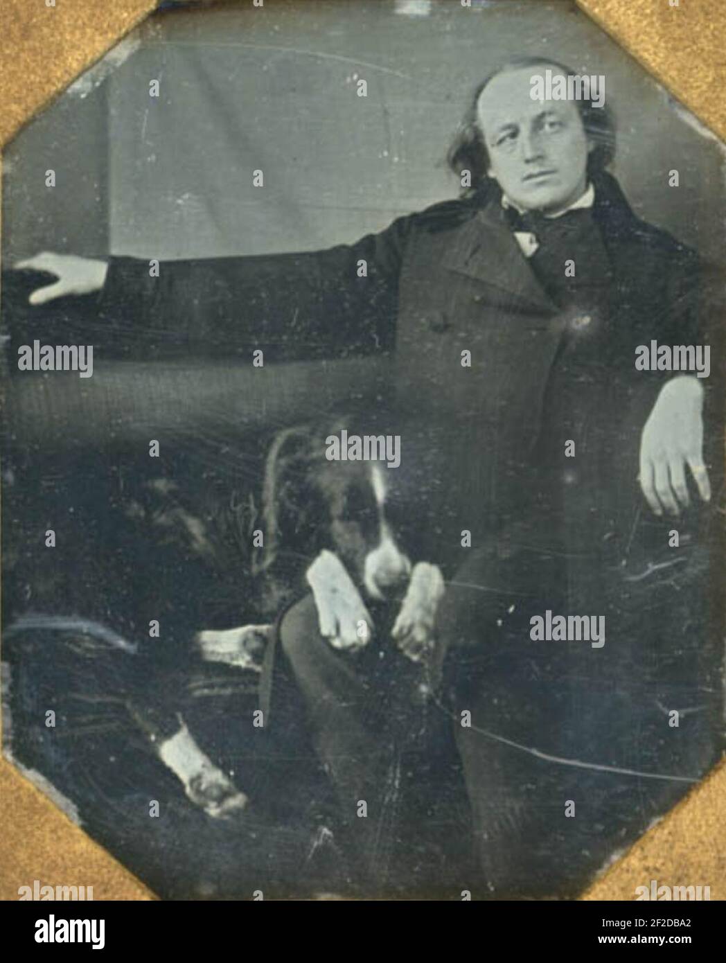 Benjamin the dog hi-res stock photography and images - Alamy