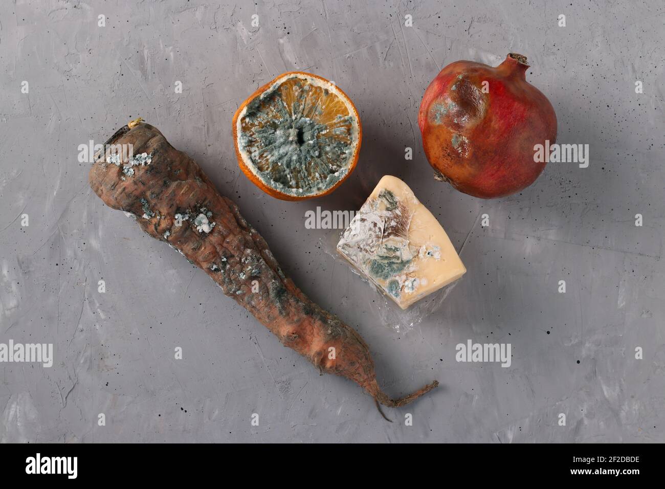 Rotten cheese hi-res stock photography and images - Alamy