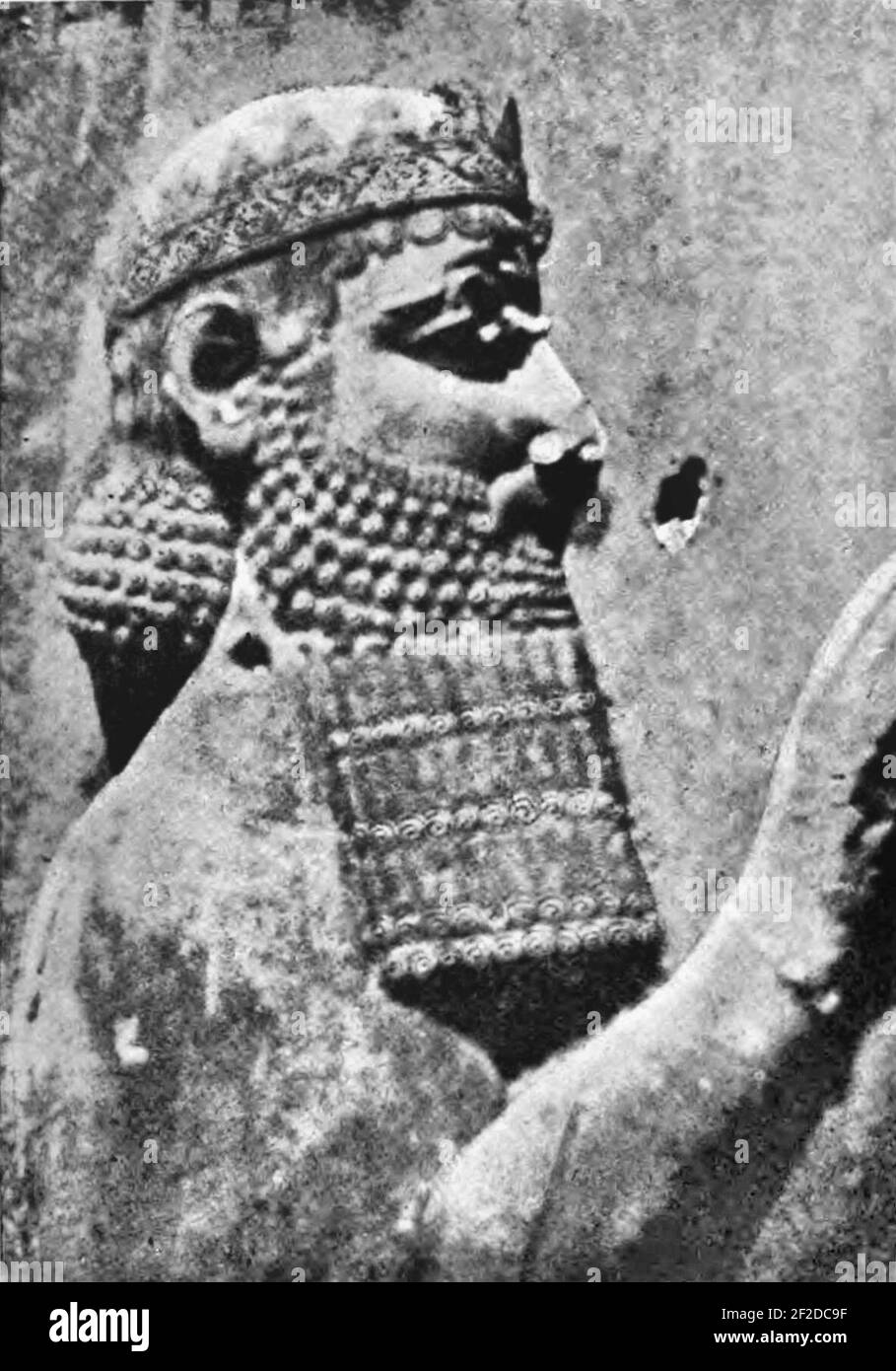 Portrait of Darius the Great at Behistun Stock Photo - Alamy