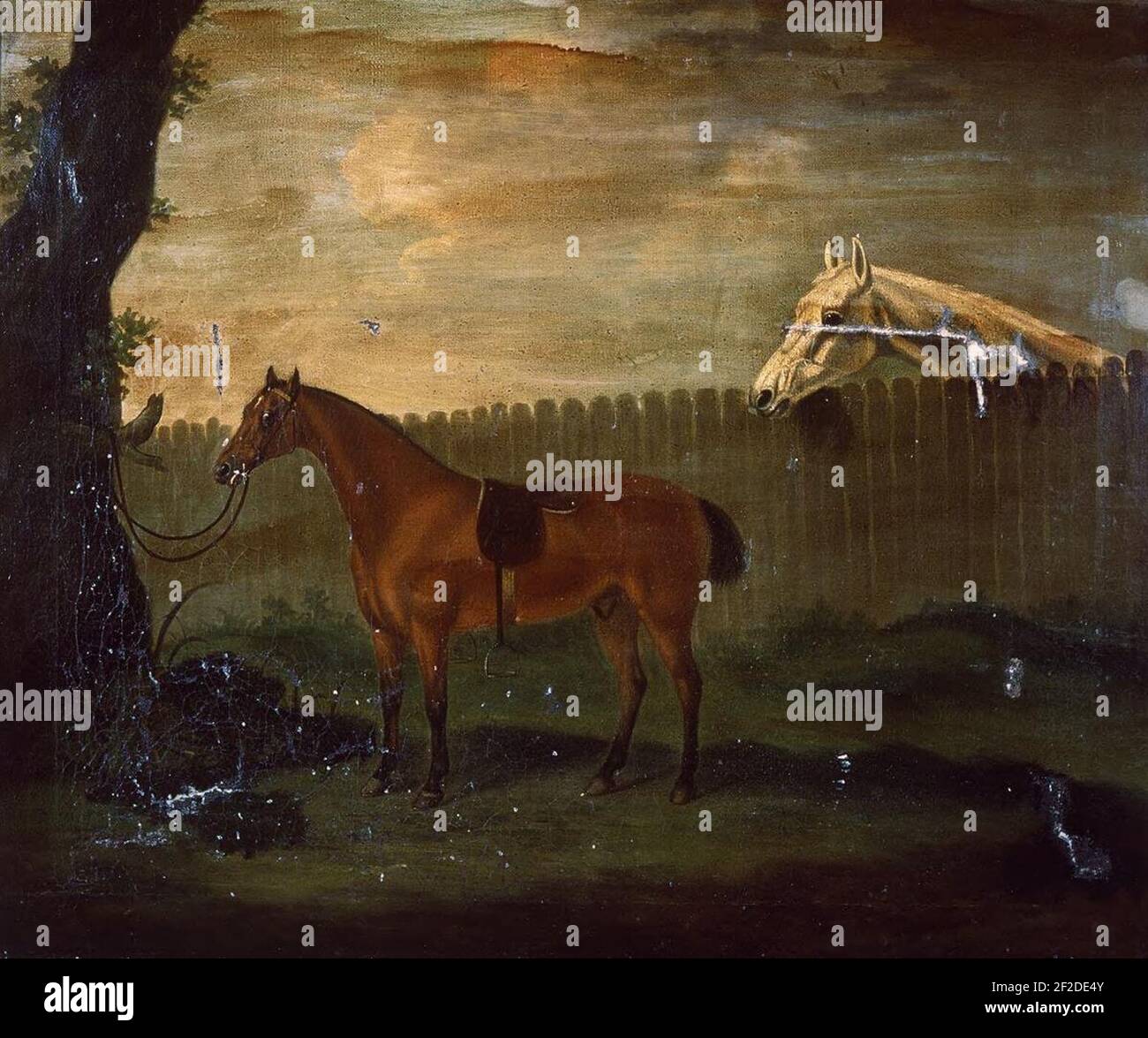 Portrait hunter tied tree hi-res stock photography and images - Alamy