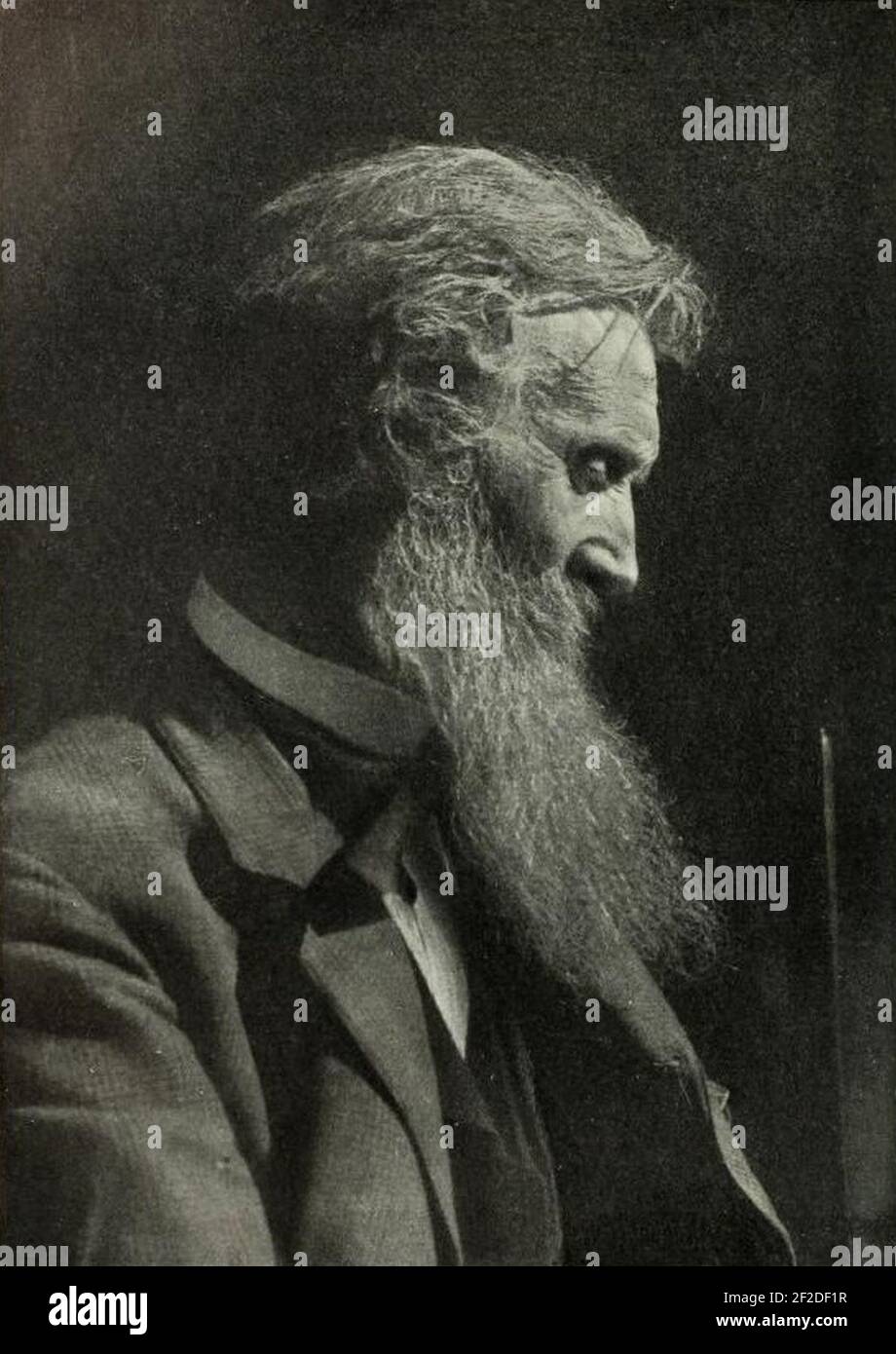 Portrait of John Muir Stock Photo - Alamy