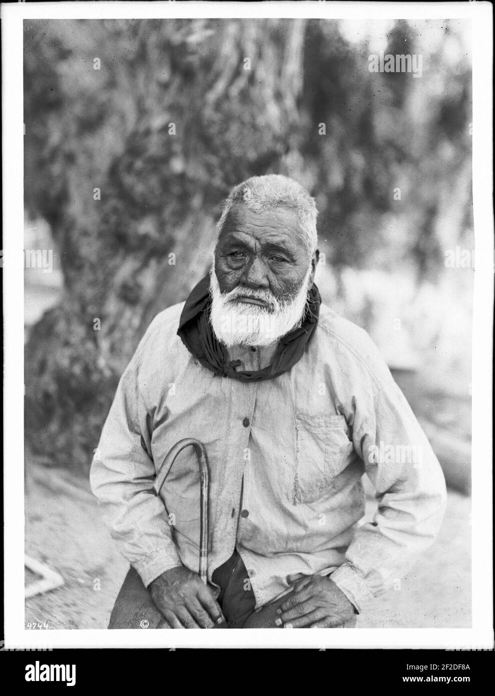Portrait of Jose Pedro Losero holding a cane, Soboba Indian, California, ca.1894 Stock Photo - Alamy