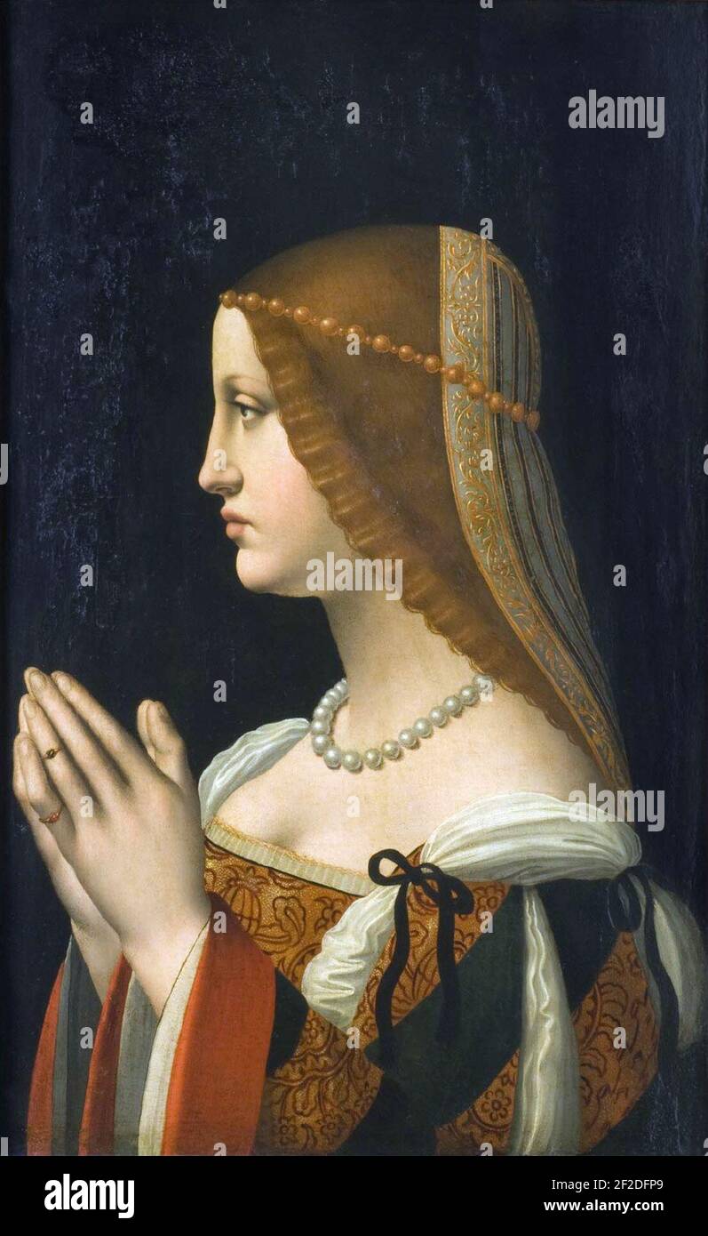 Portrait of Lady, 1500 (Philadelphia Stock Photo - Alamy