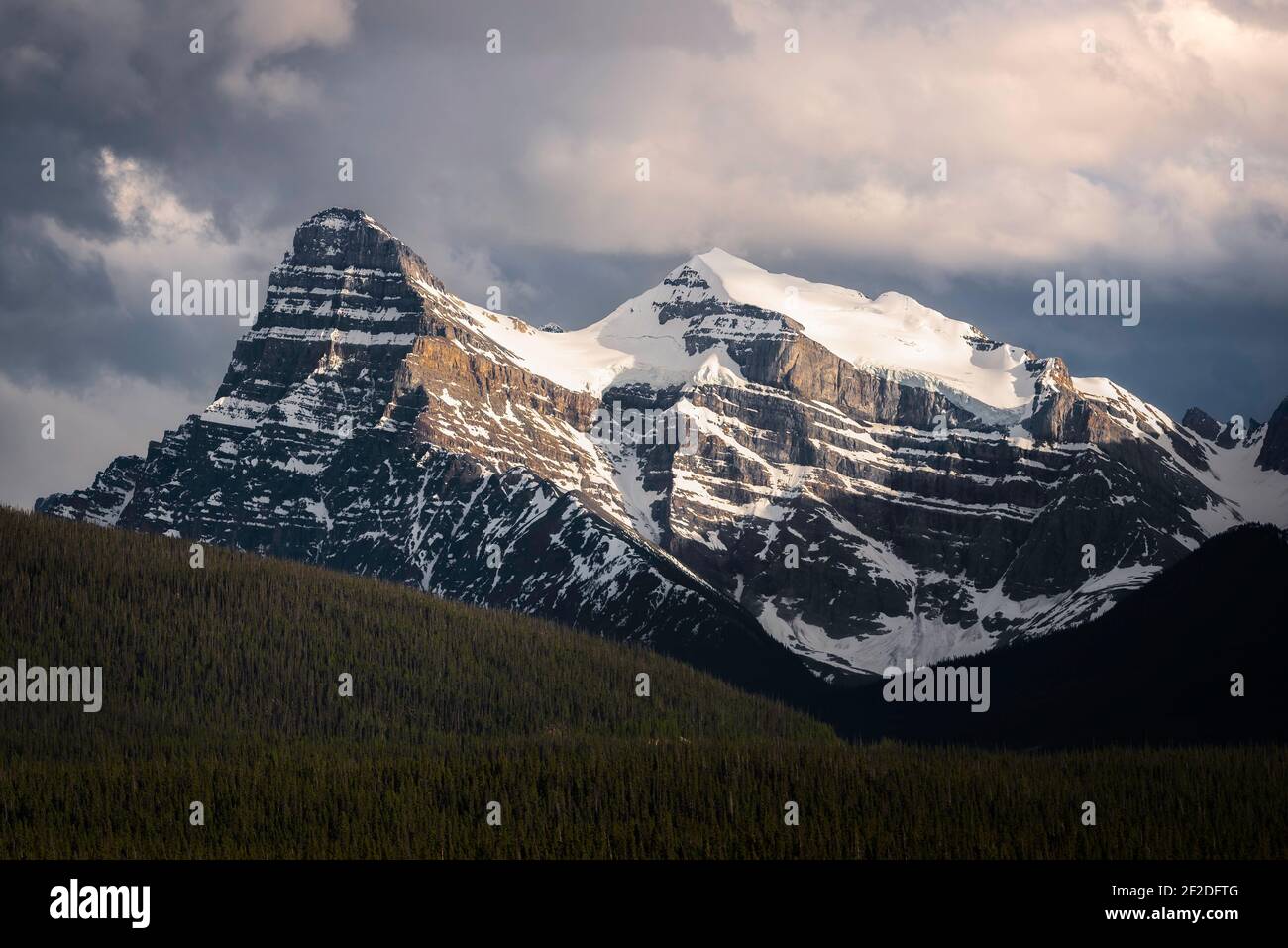 Mount Chephren and White Pyramid seen in the afternoon light during the ...