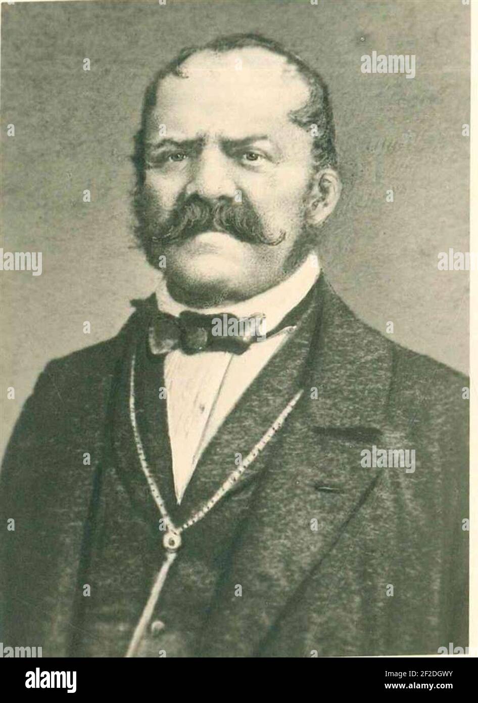 Portrait of Martin Hassek 2 Stock Photo - Alamy