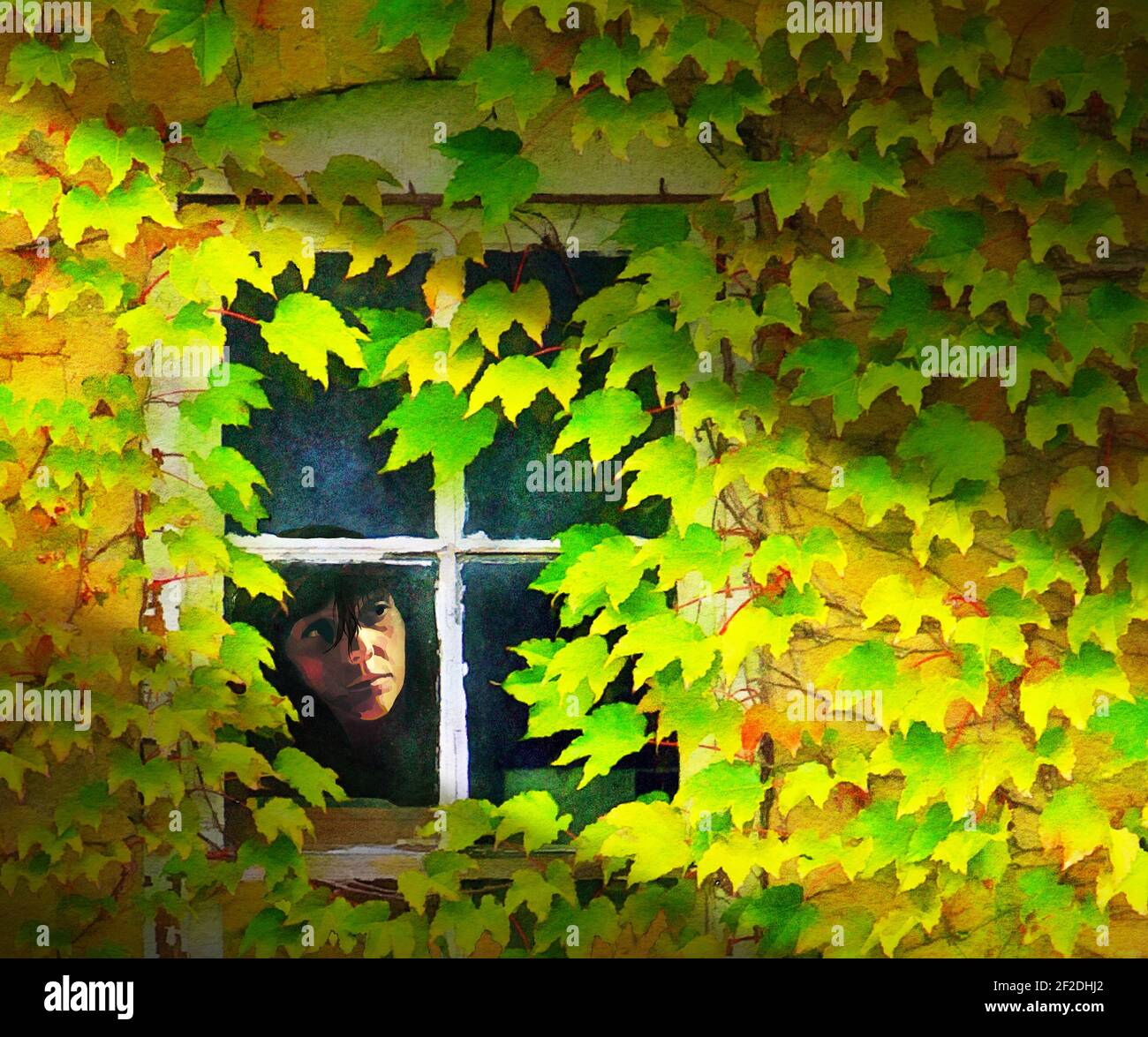 A girl looks out of an old window that is surrounded by ivy leaves ...