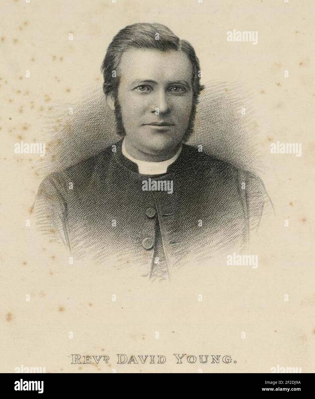 Portrait of Revd. David Young (4671085 Stock Photo - Alamy