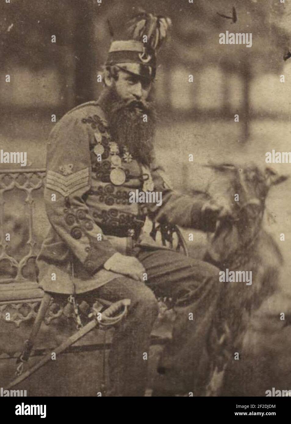 Robert shields hi-res stock photography and images - Alamy