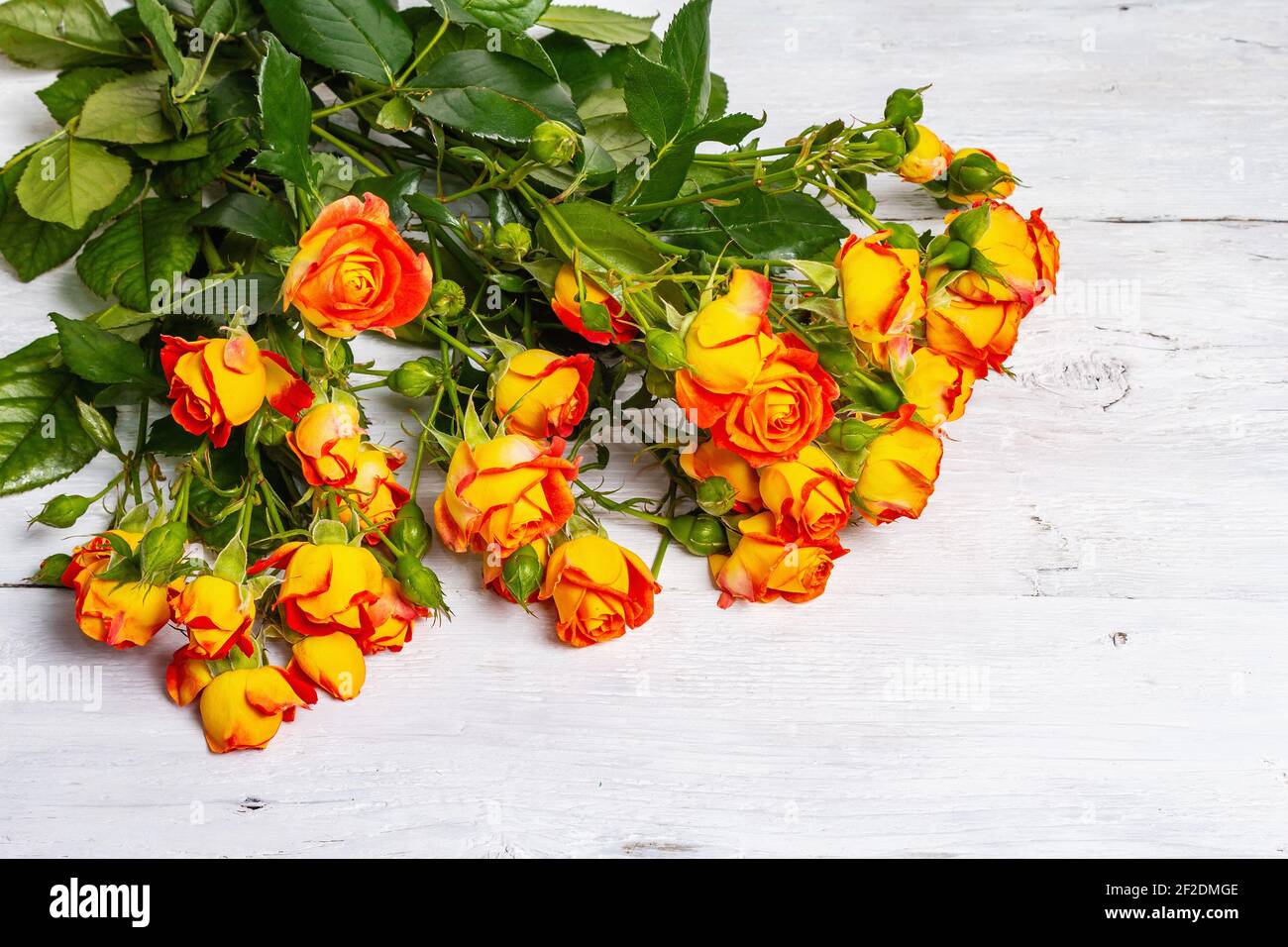 Bouquet of bright yellow-orange roses on white background. Festive gift ...