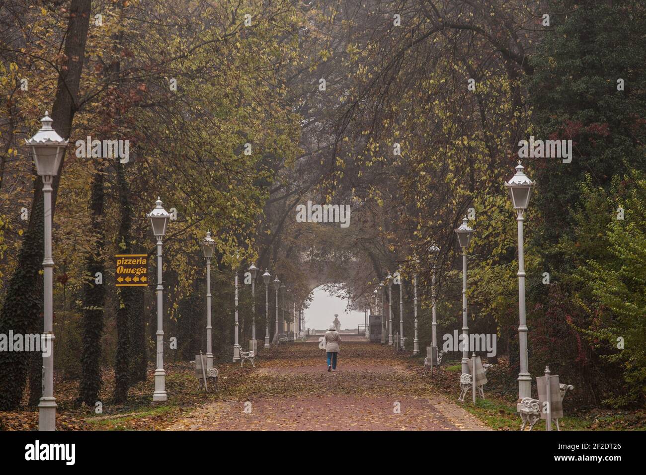 PALIC, SERBIA - NOVEMBER 18, 2020: Woman walking alone on an alley of ...