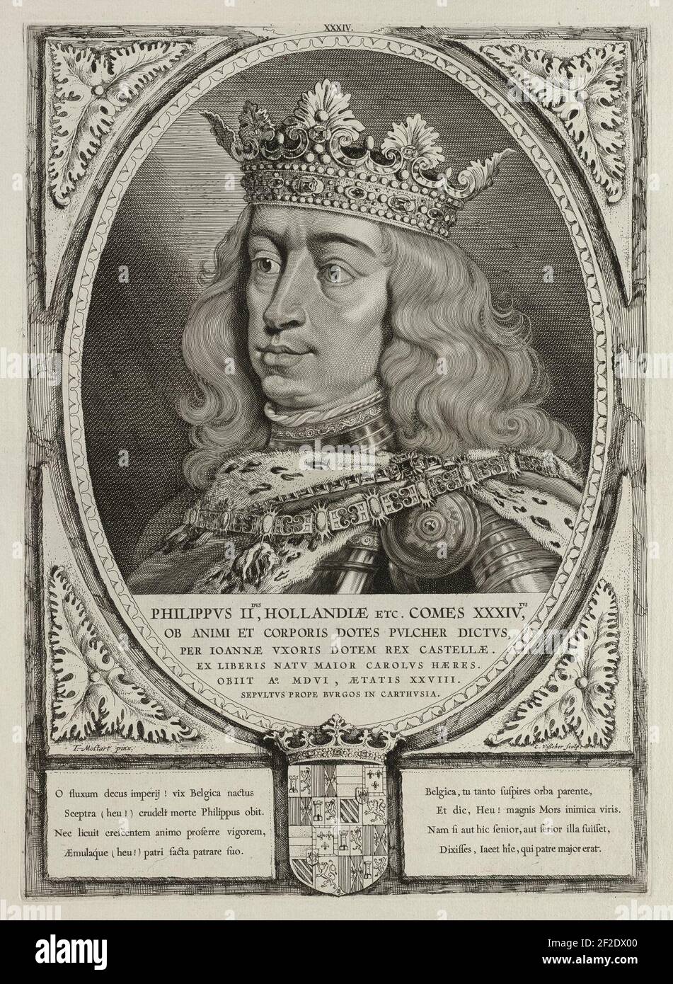 Koningsmantel hi-res stock photography and images - Alamy