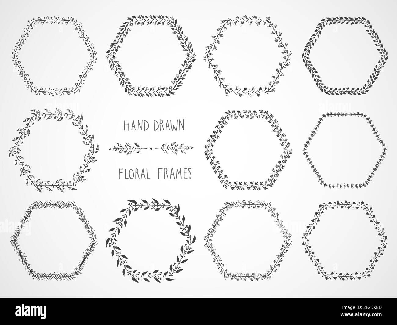 Vector set of floral hand drawn frames and decorative elements Stock ...