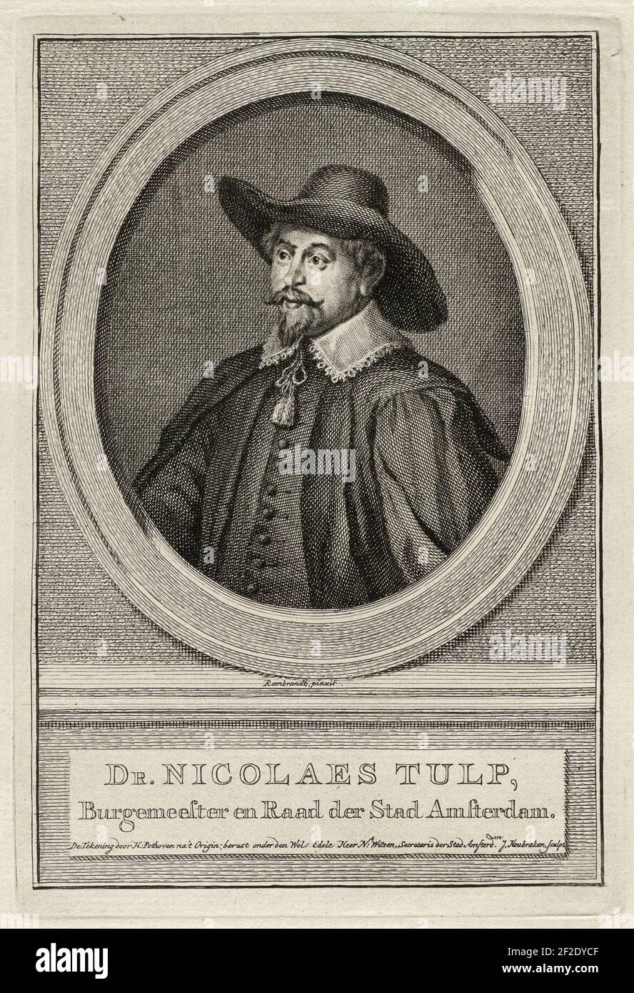 Nicolaas tulp hi-res stock photography and images - Alamy