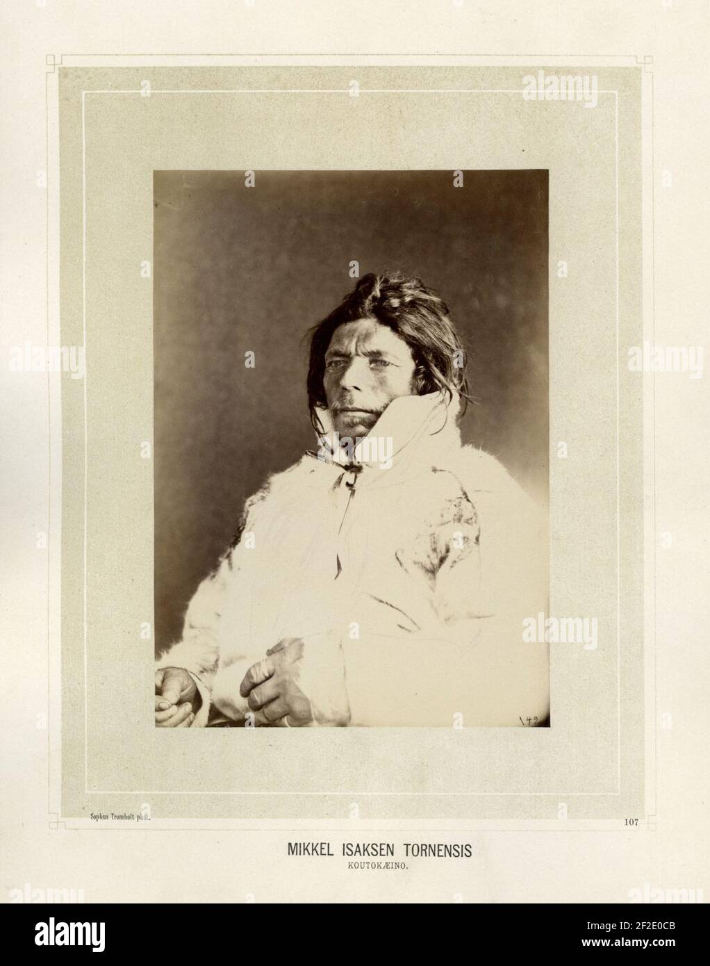 Tornensis hi-res stock photography and images - Alamy