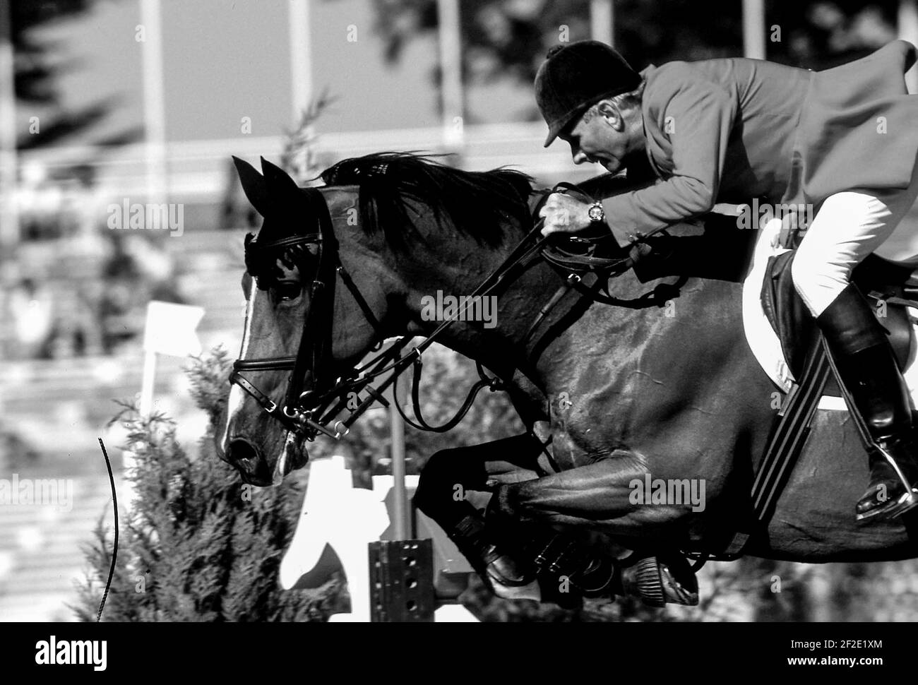 Close up horse rider Black and White Stock Photos & Images - Alamy