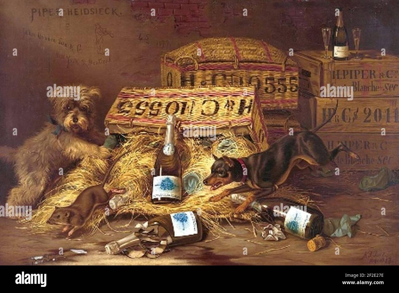 Chasing a mouse hi-res stock photography and images - Alamy