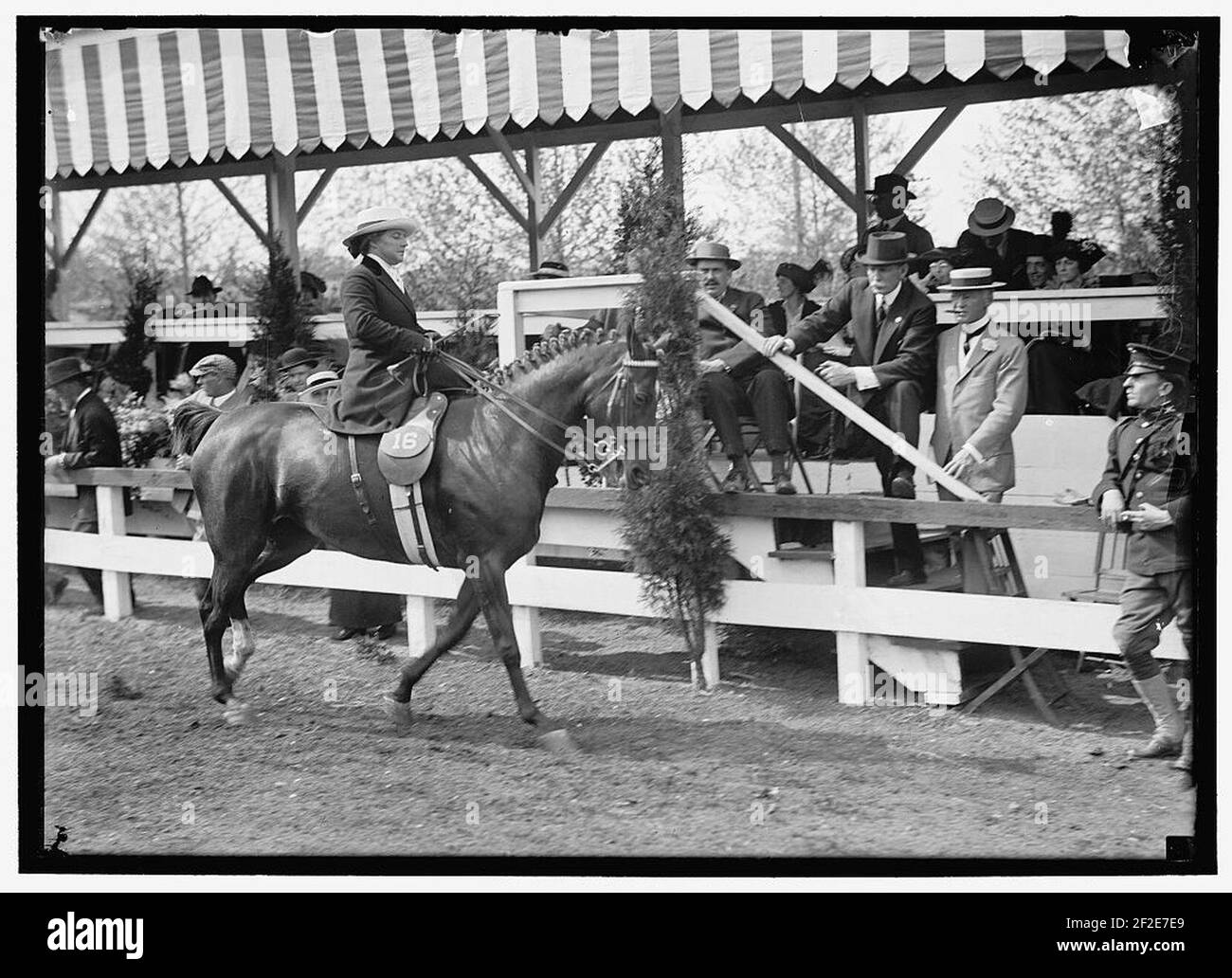 Alan potts hi-res stock photography and images - Alamy