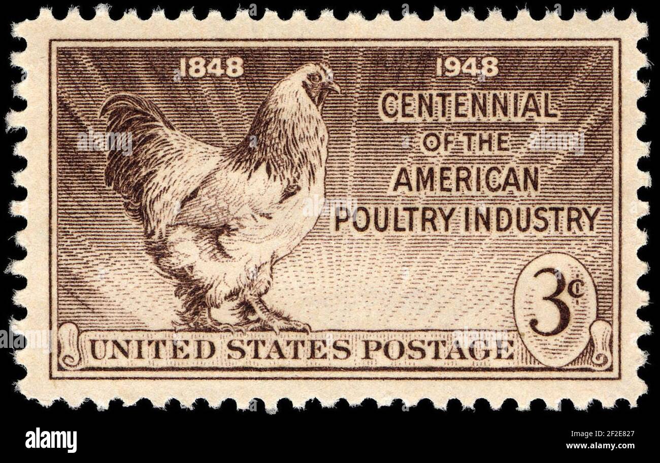 Poultry Industry Centennial 3c 1948 issue U.S. stamp Stock Photo - Alamy