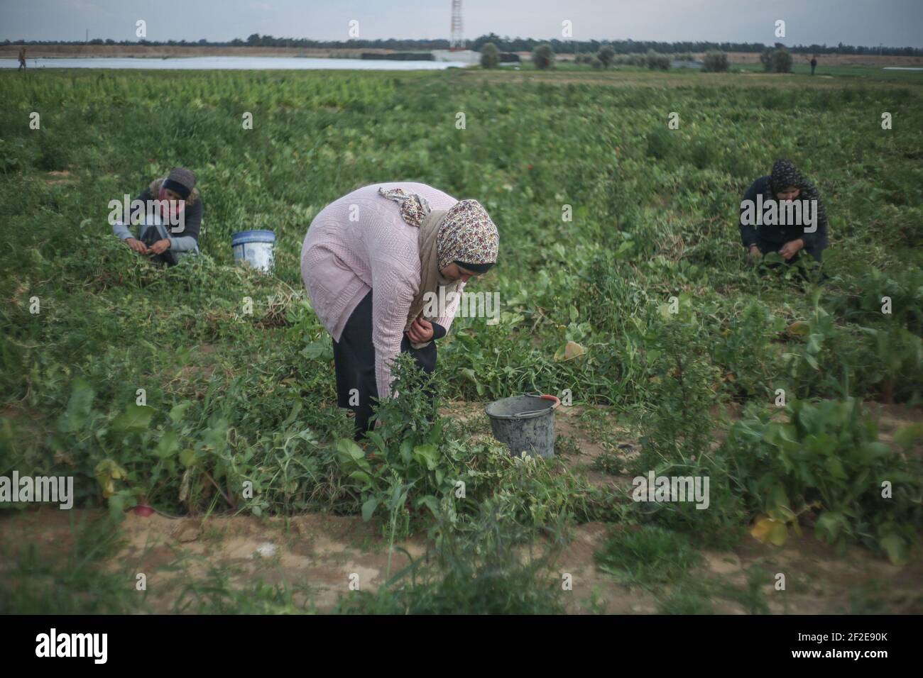 Difficult farming conditions hi-res stock photography and images - Alamy