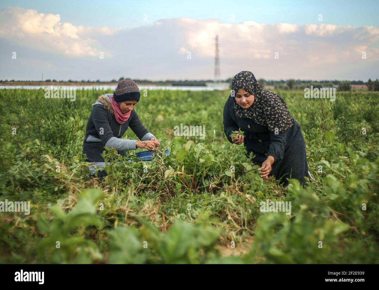 Difficult farming conditions hi-res stock photography and images - Alamy