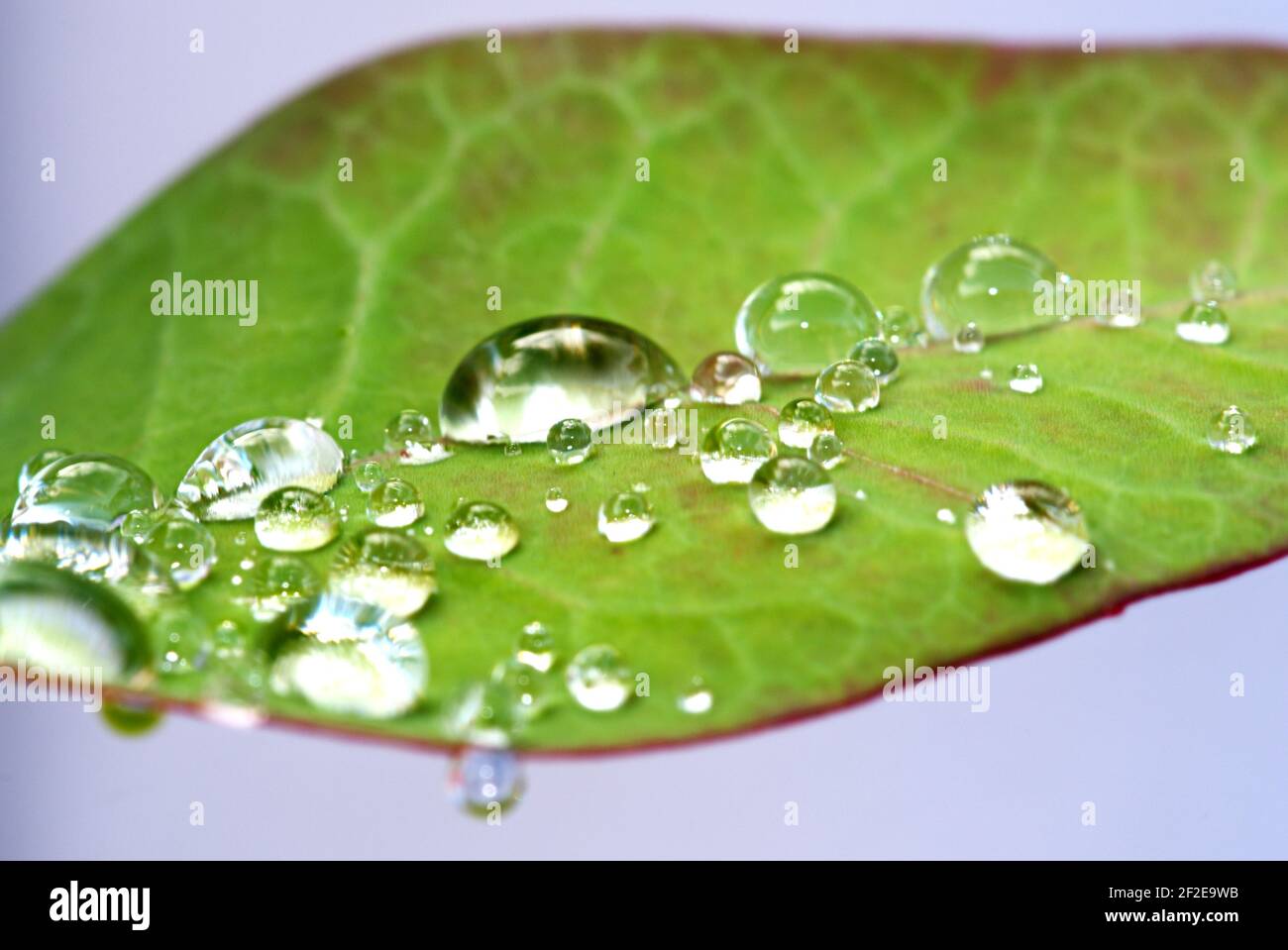 Natural water cycle hi-res stock photography and images - Alamy