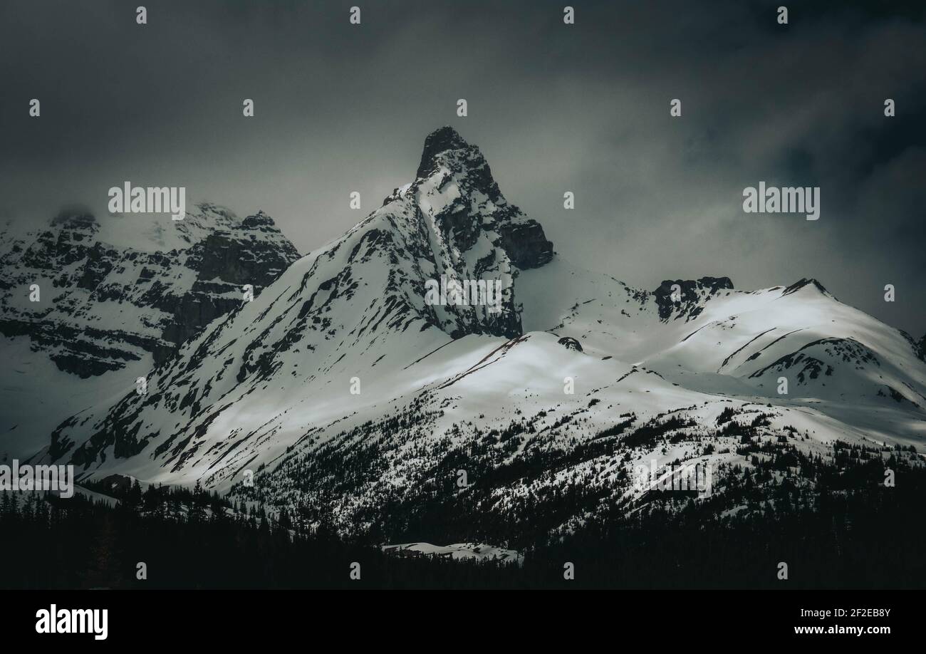 Snow storm engulfing mountain in Jasper National Park Stock Photo - Alamy