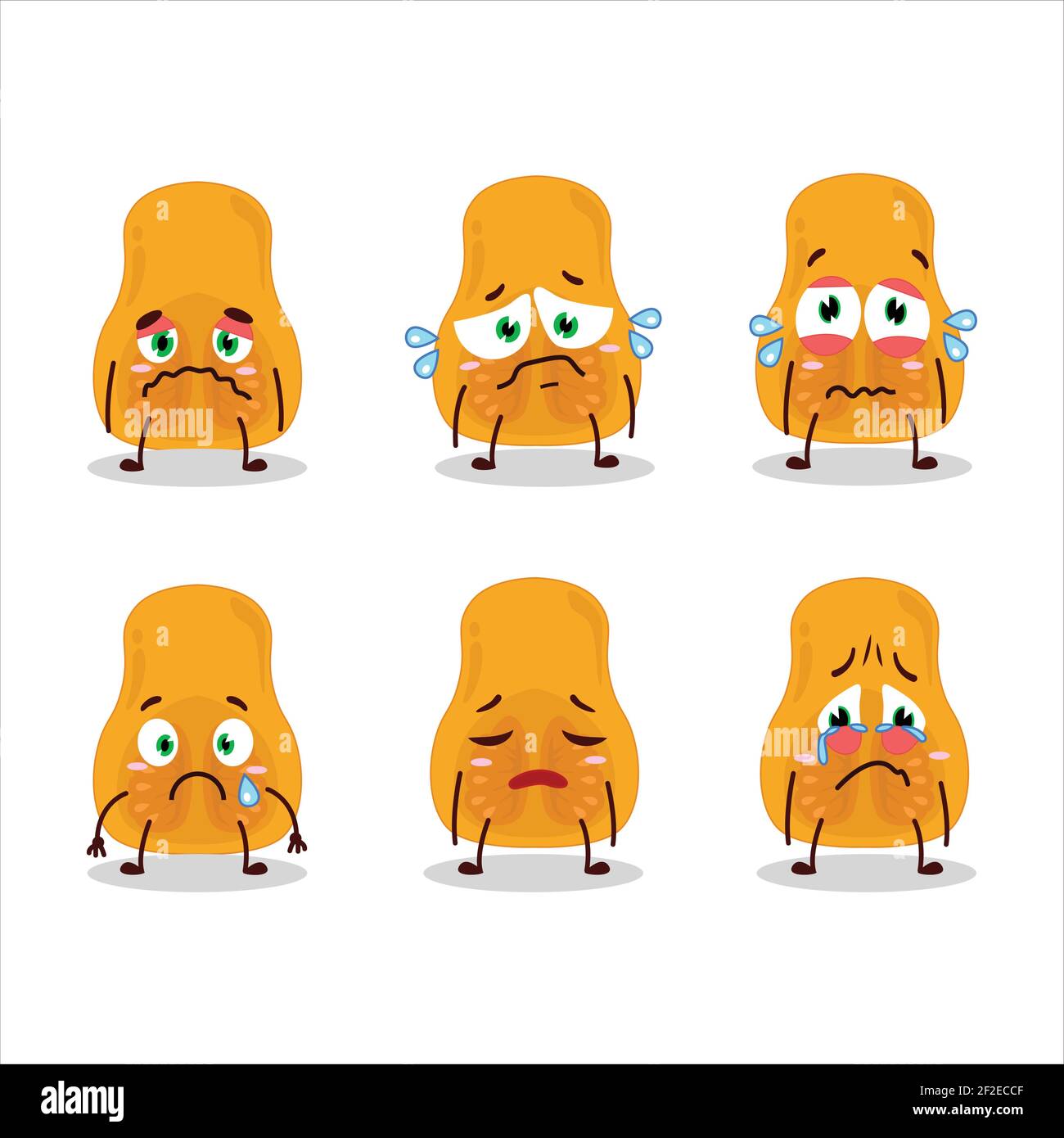 Uncooked sliced butternut squash Stock Vector Images - Alamy