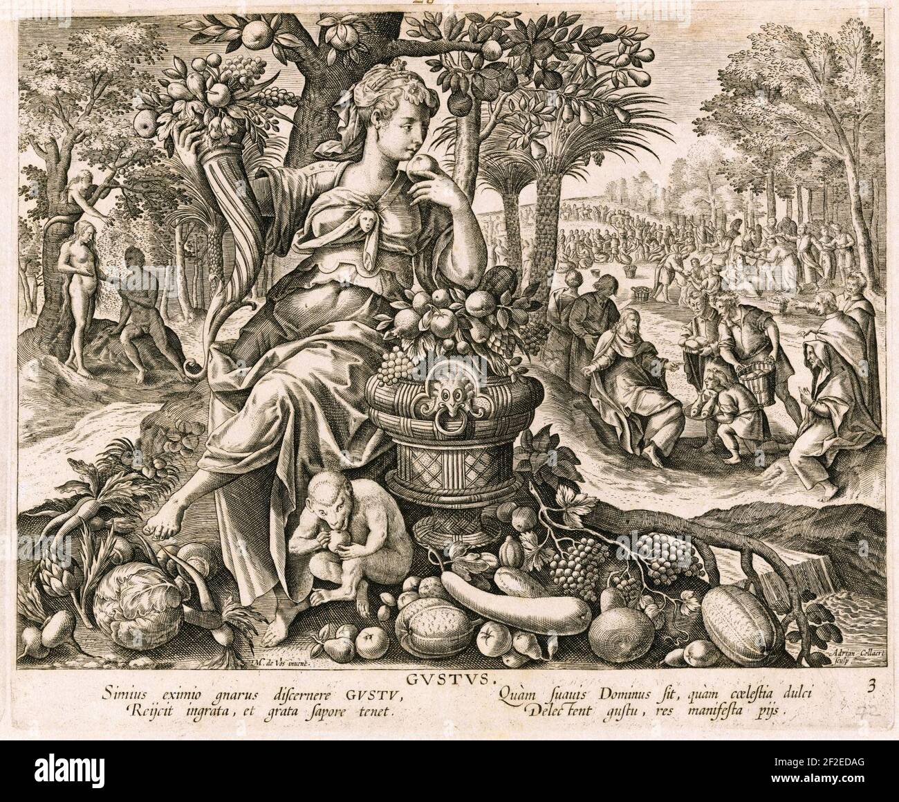 Gustus hi-res stock photography and images - Alamy