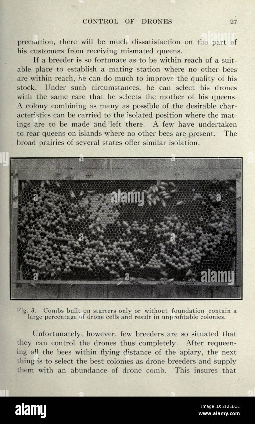 Practical queen rearing (Page 27 Stock Photo - Alamy