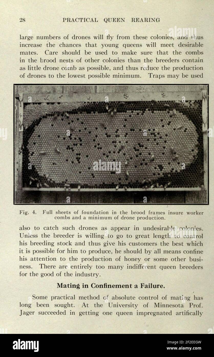 Practical queen rearing (Page 28 Stock Photo - Alamy