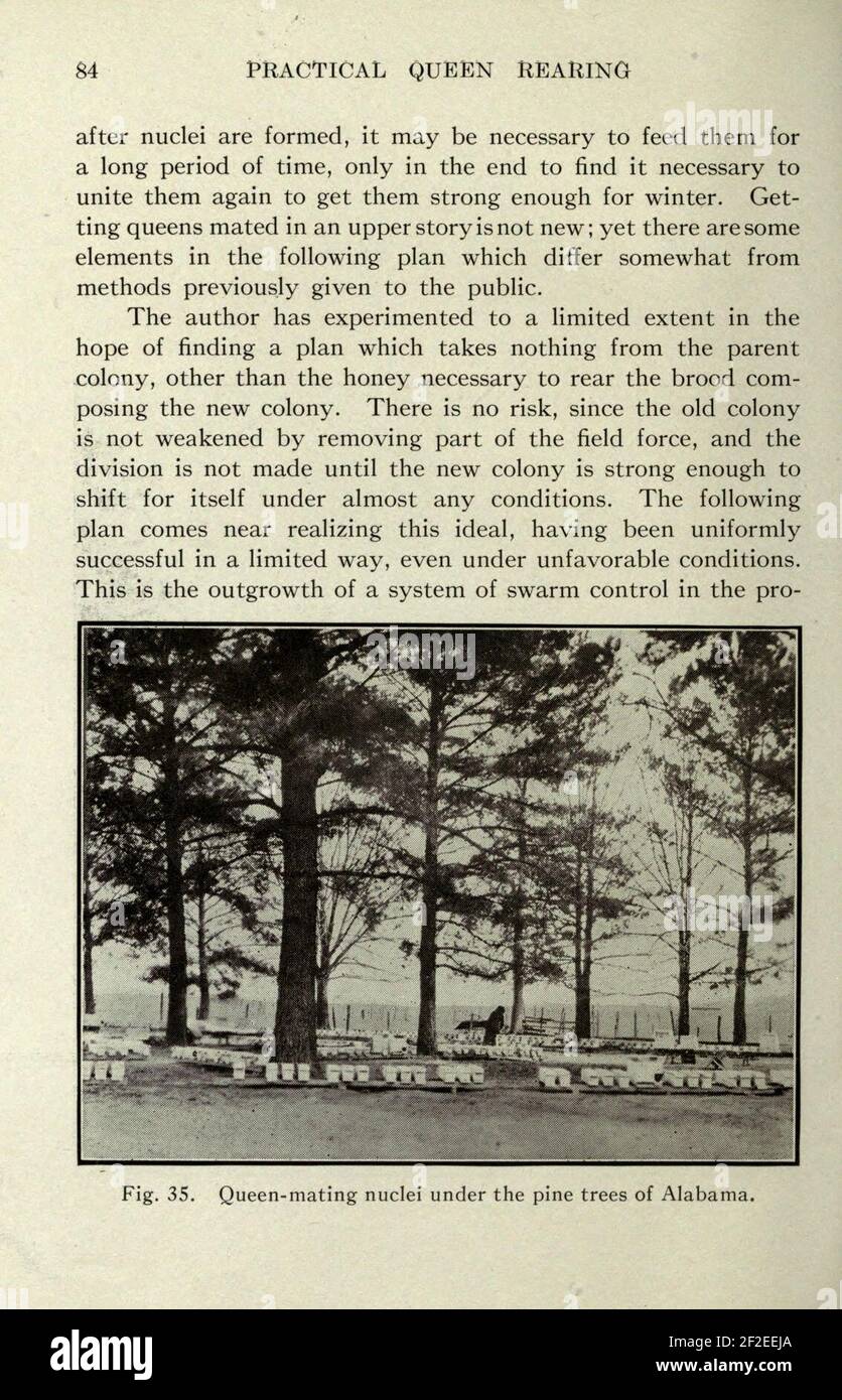 Practical queen rearing (Page 84 Stock Photo - Alamy