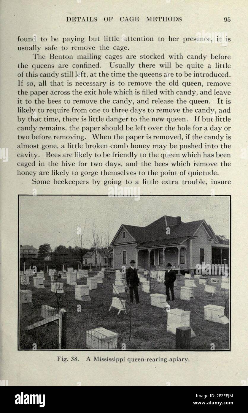 Practical queen rearing (Page 95 Stock Photo - Alamy