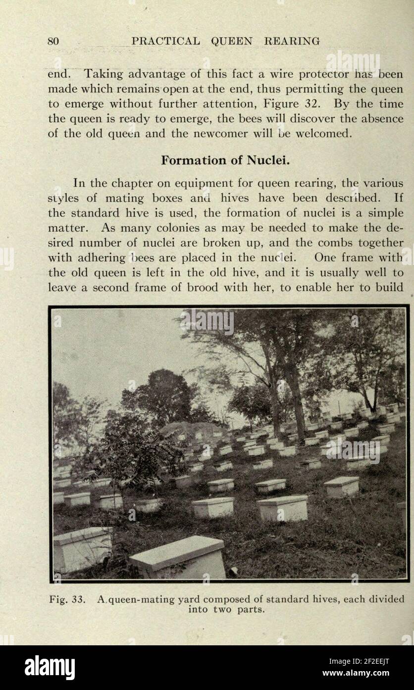 Practical queen rearing (Page 80 Stock Photo - Alamy