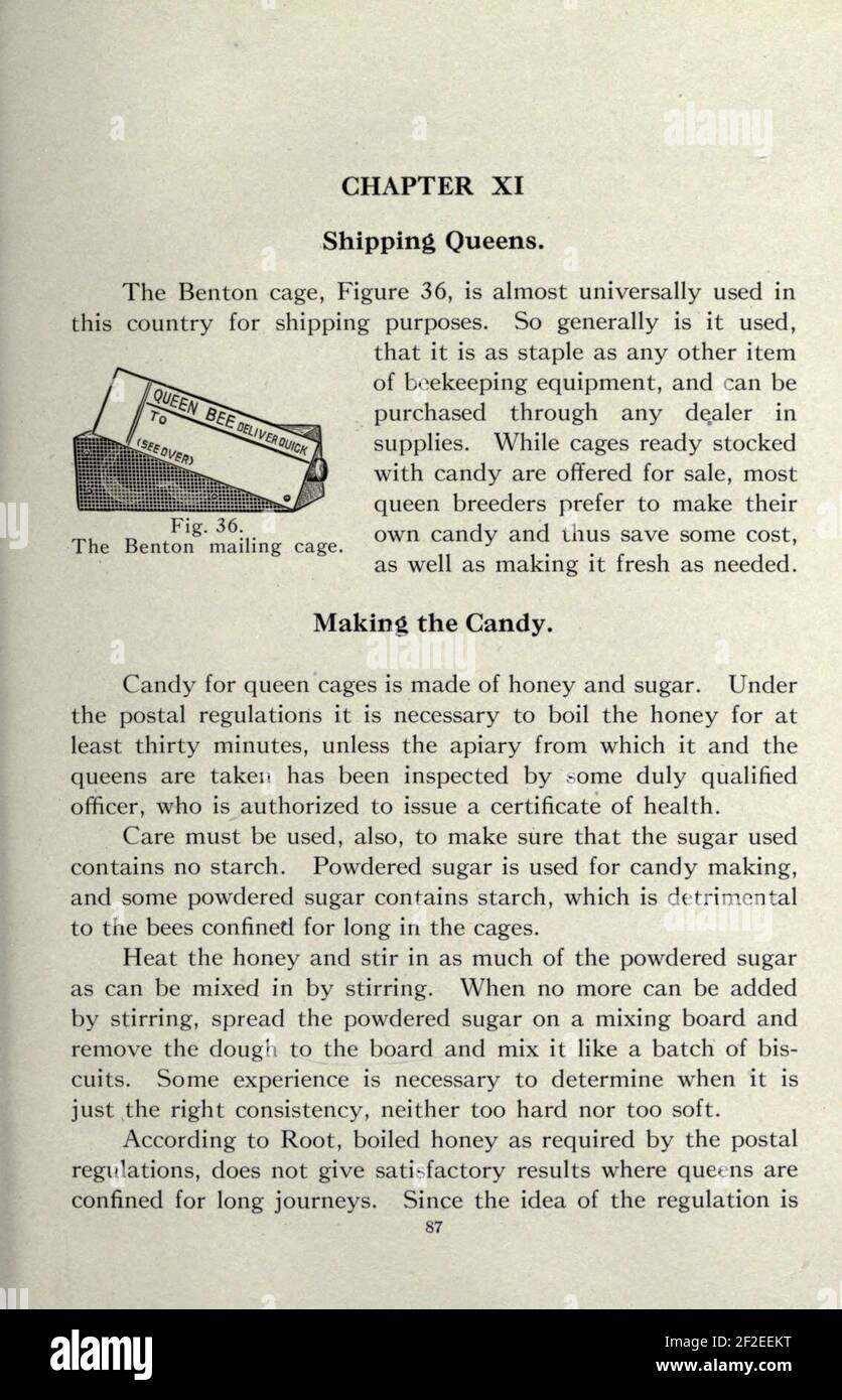 Practical queen rearing (Page 87 Stock Photo - Alamy