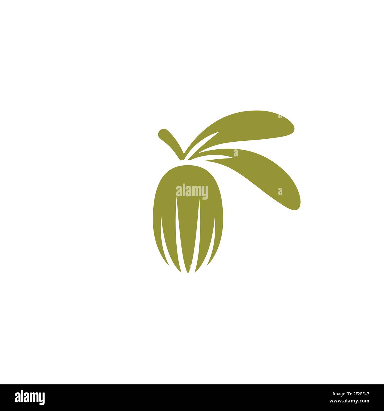 Shea nut Stock Vector Images - Alamy