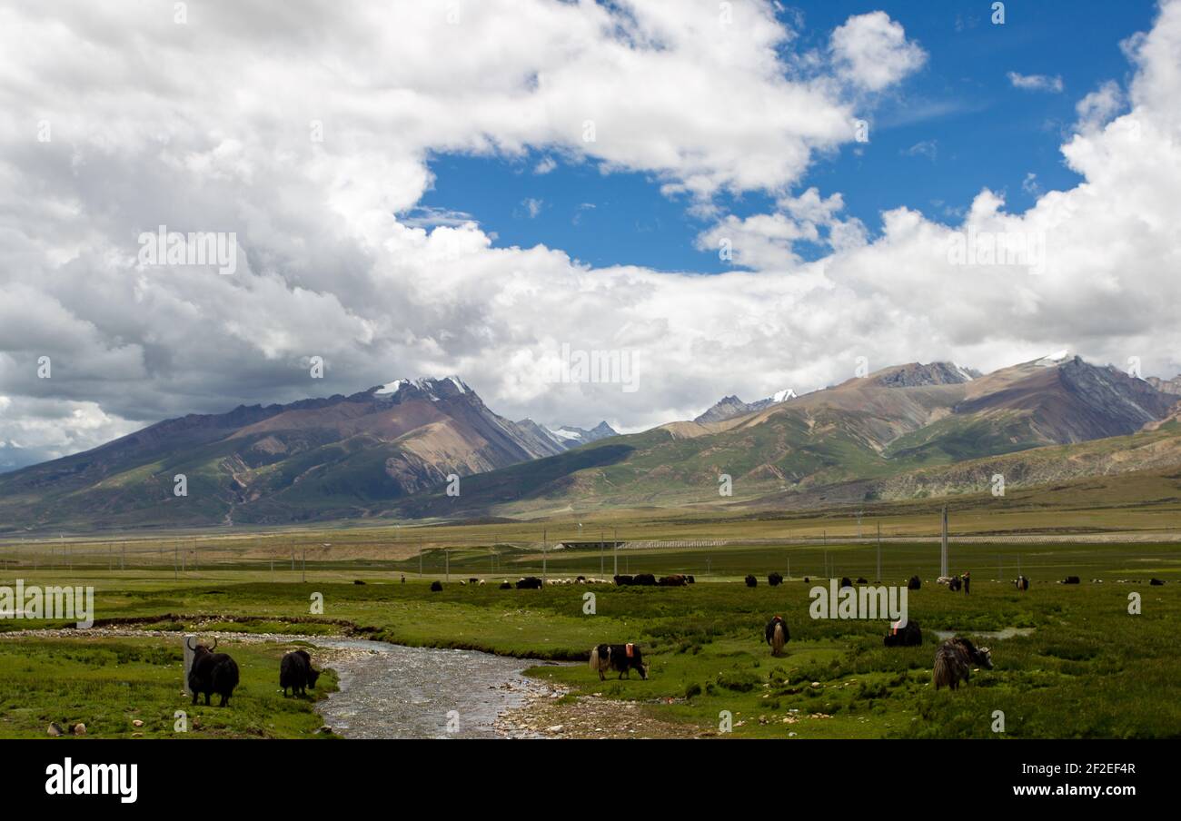 Natural scenery of Tibetan Plateau in China Stock Photo - Alamy