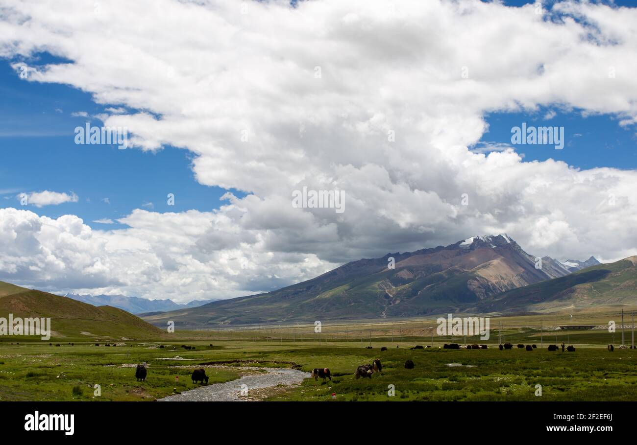 Natural scenery of Tibetan Plateau in China Stock Photo - Alamy