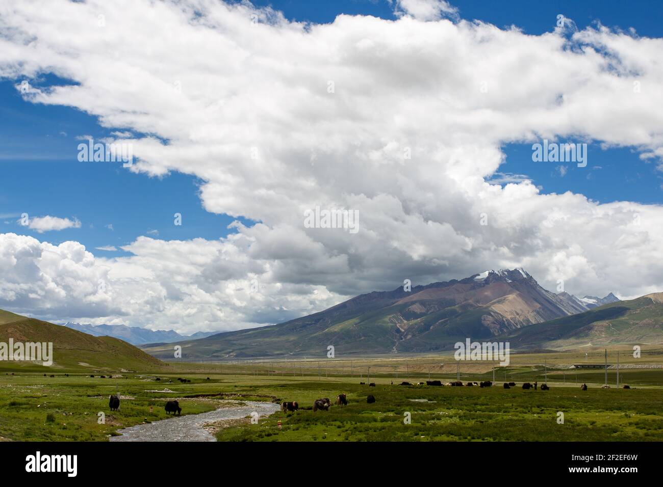 Natural scenery of Tibetan Plateau in China Stock Photo - Alamy