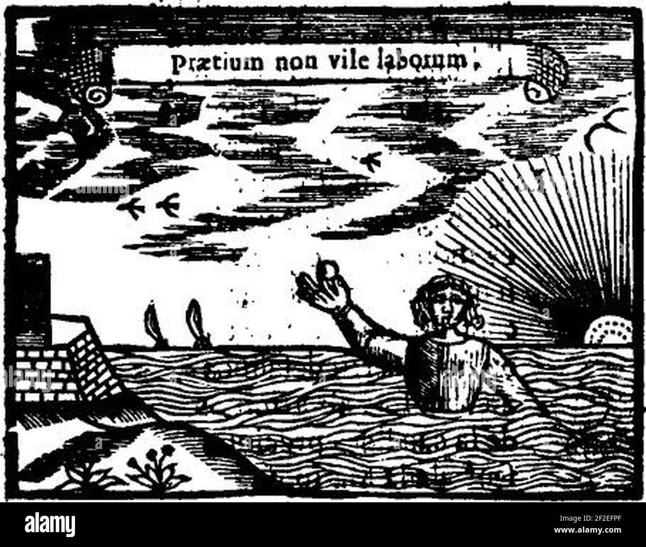 Laborum hi-res stock photography and images - Alamy