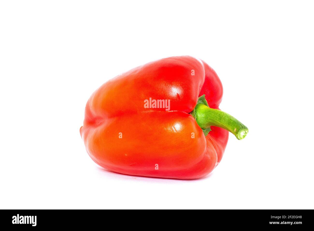 red bell pepper Capsicum annuum Stock Photo - Alamy