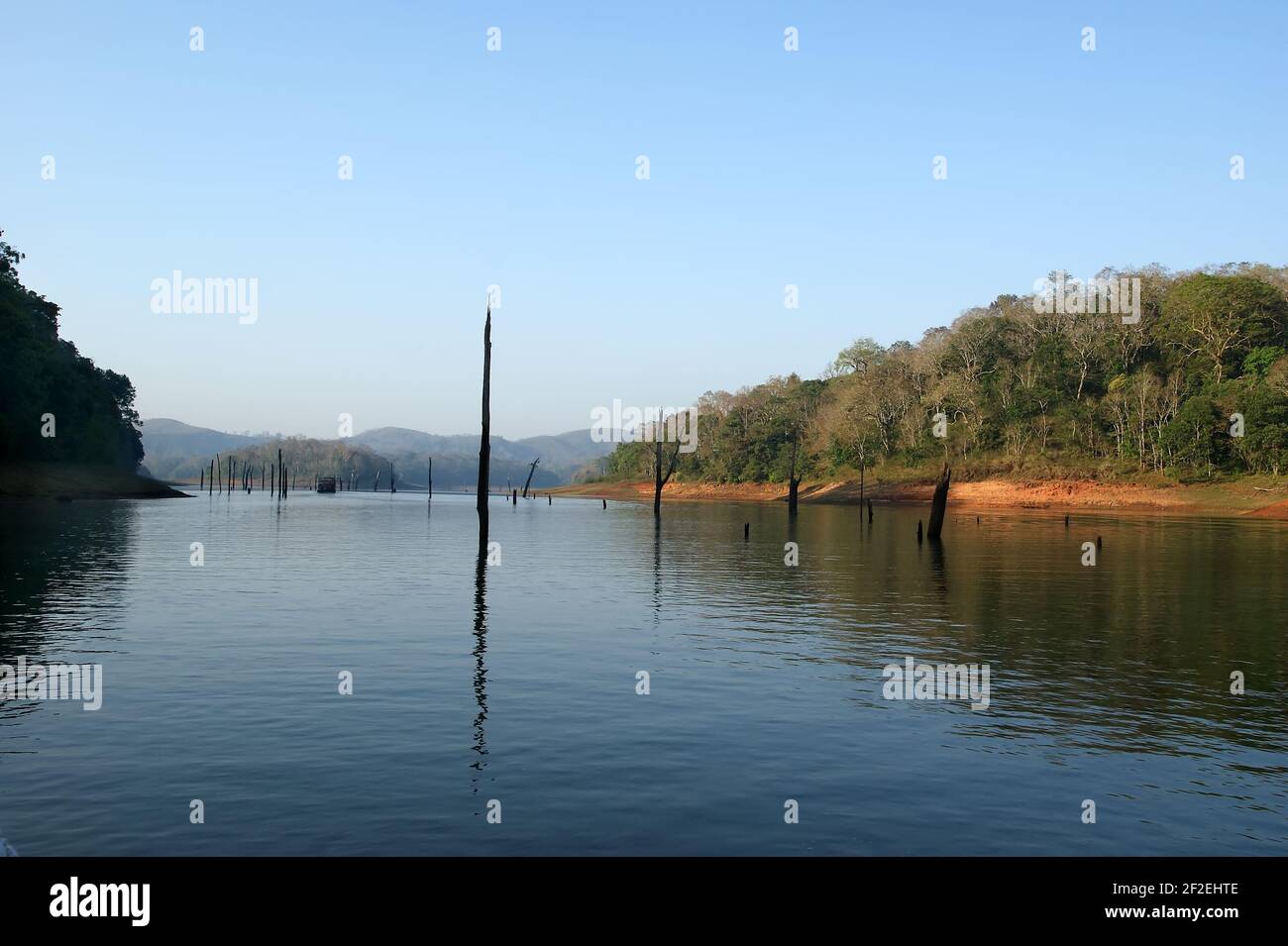 lake, Periyar National Park, Kerala, India Stock Photo - Alamy