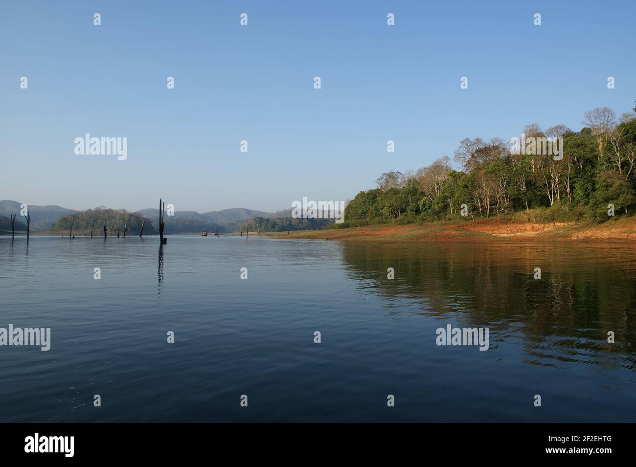 lake, Periyar National Park, Kerala, India Stock Photo - Alamy