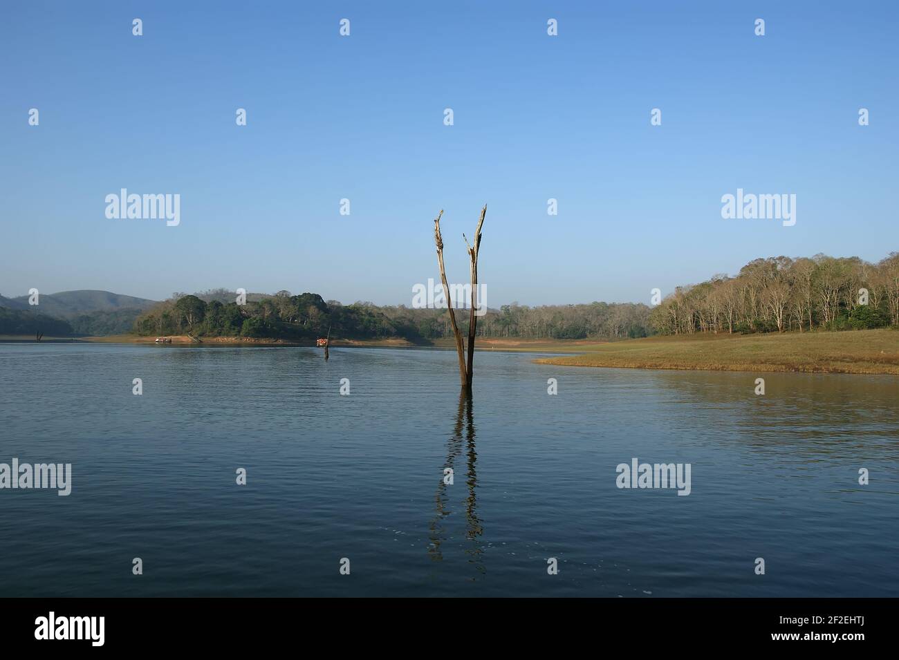 lake, Periyar National Park, Kerala, India Stock Photo - Alamy