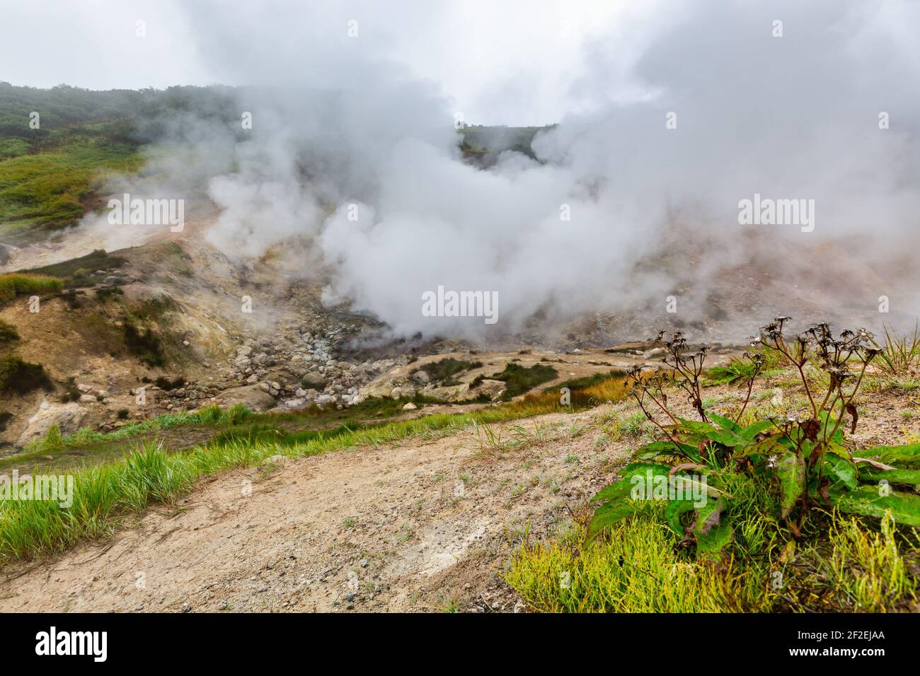Exciting view volcanic landscape, erupting fumarole, aggressive hot ...